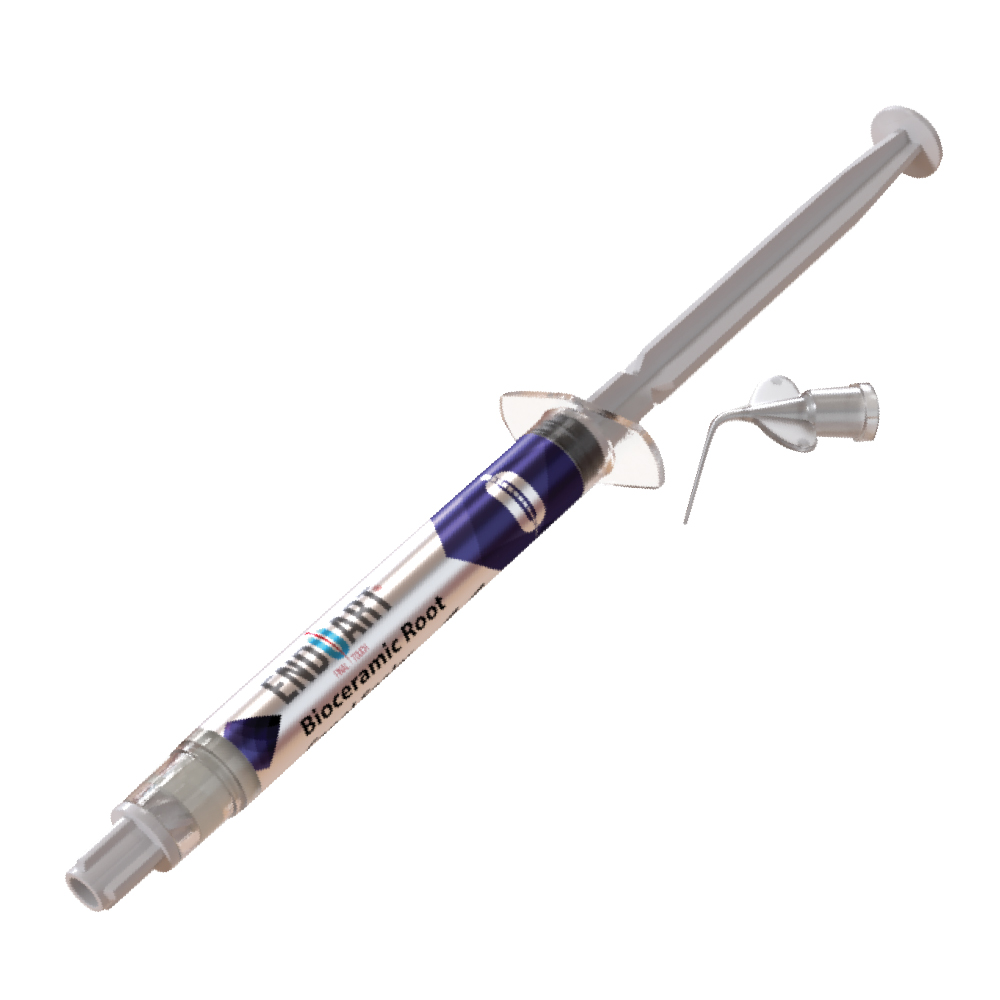 Endodontic Sealers: EndoArt Bioceramic Root Canal Sealer 2x 1g